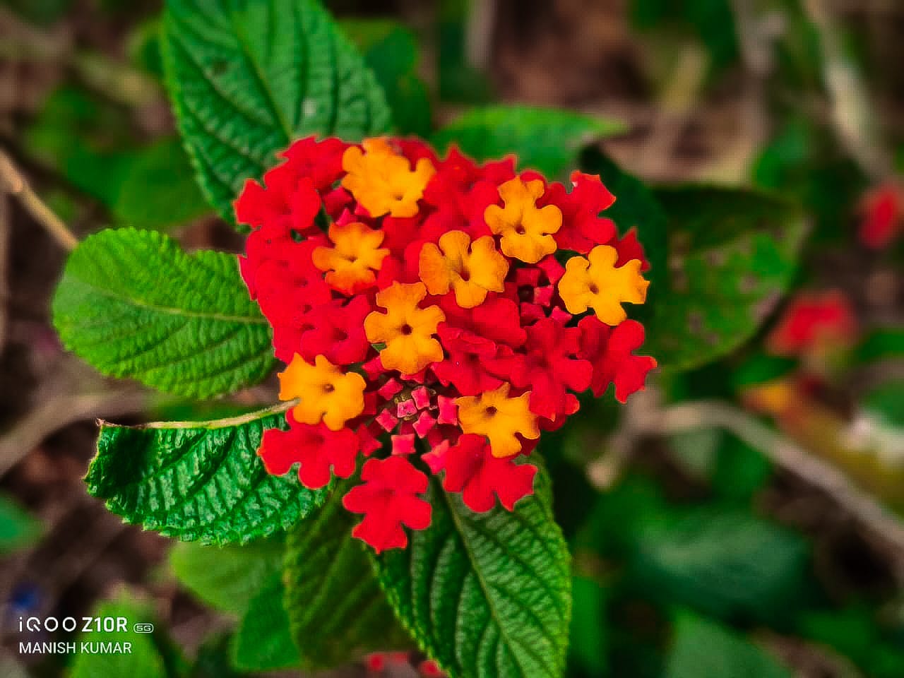 Some Random Clicks… 📸