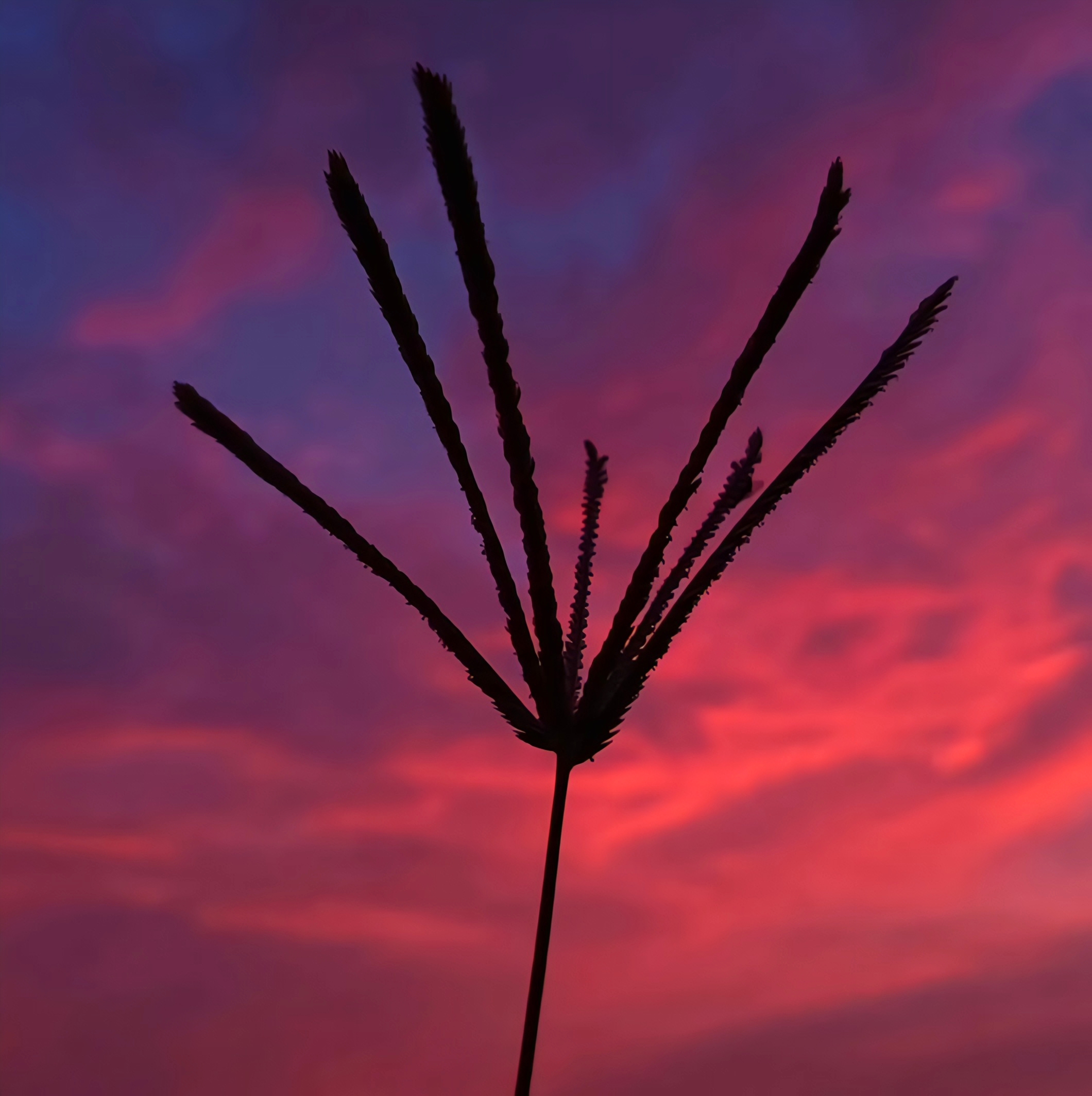 🌄 Story of the Sky