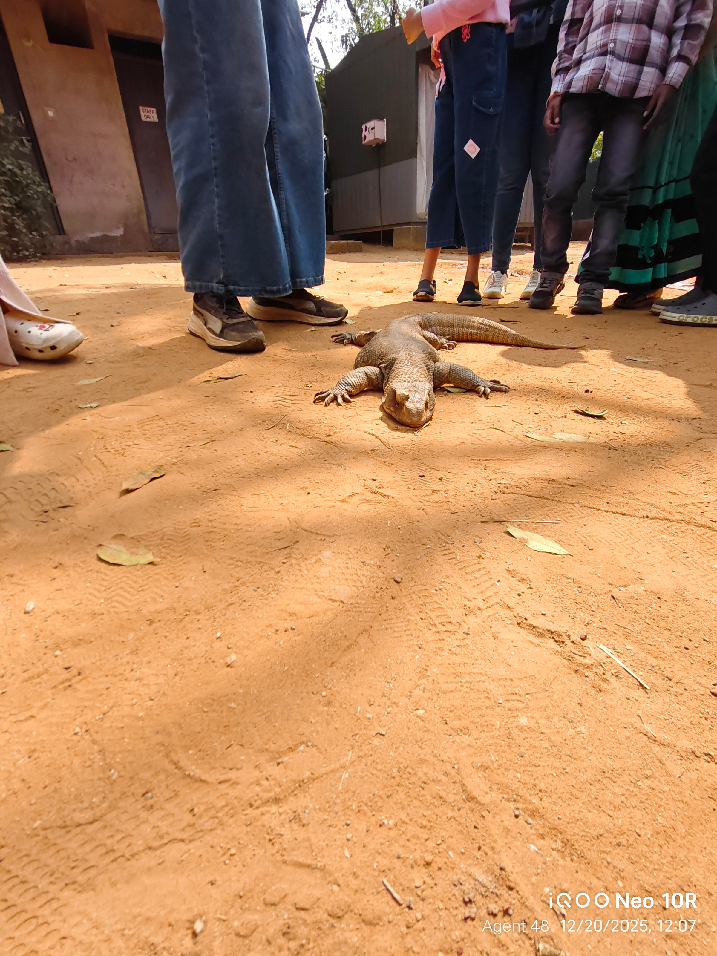 Bengaluru first ever ISR event-Sinchana foundation Trip recap (2/2)