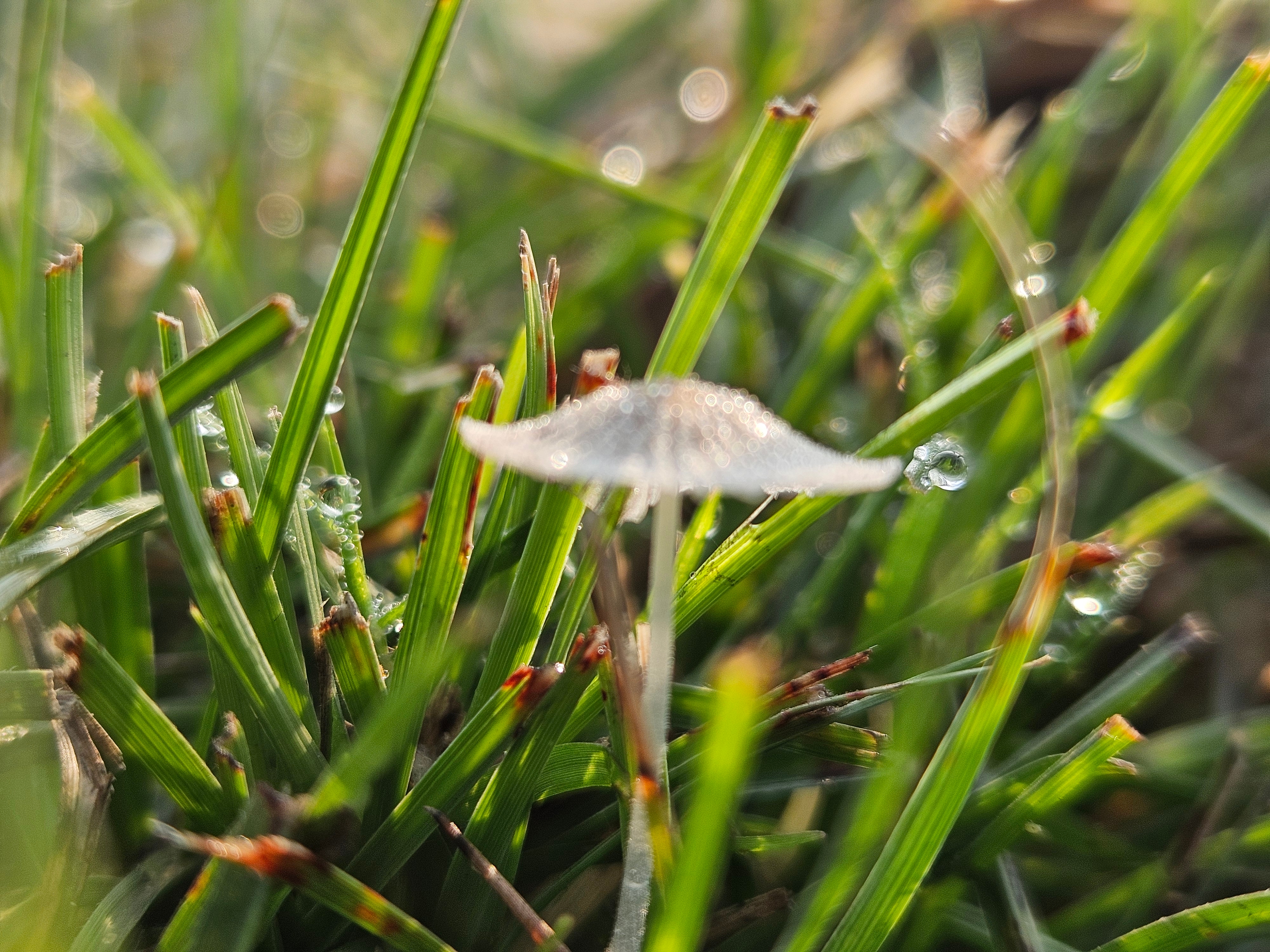 Small Moments, Big Stories