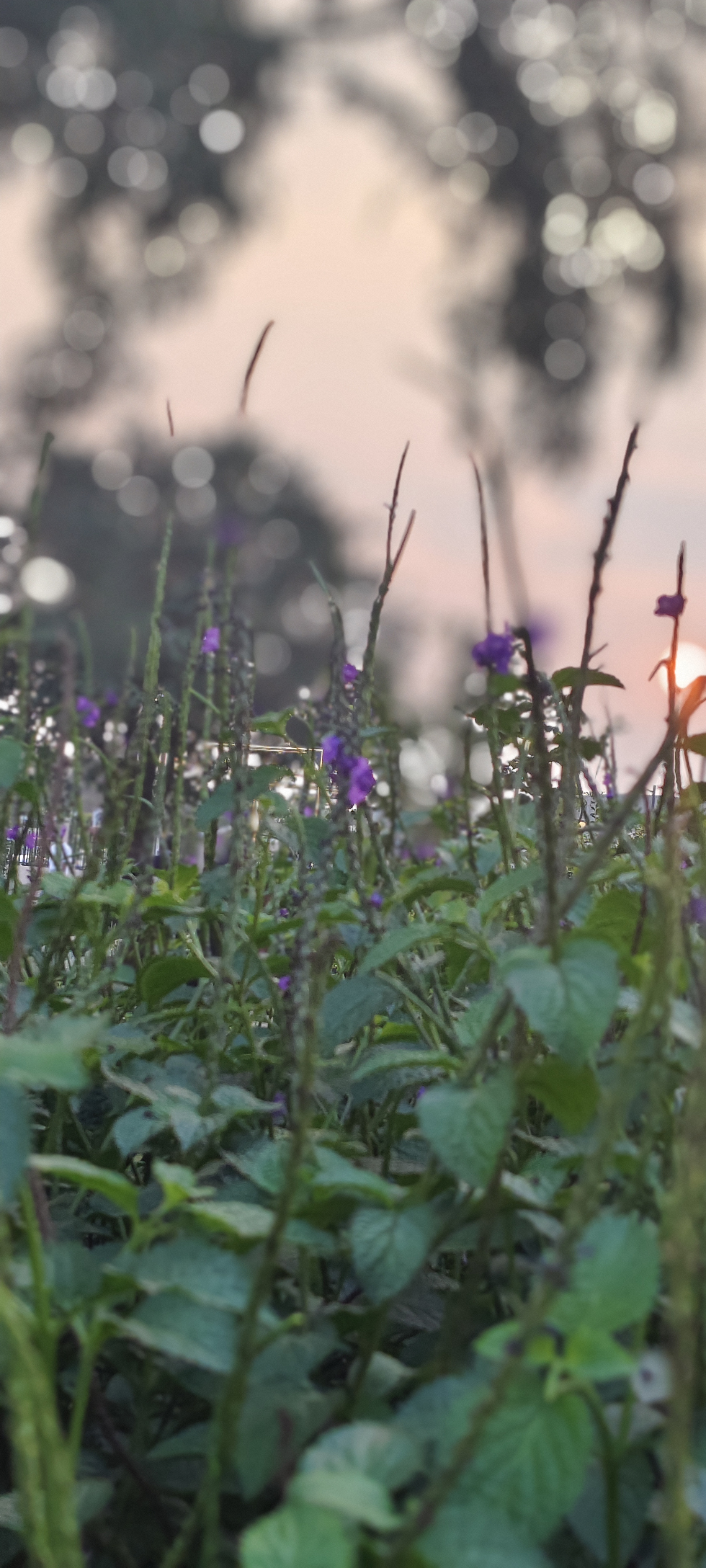 KOVAI FRAMES PHOTOWALK