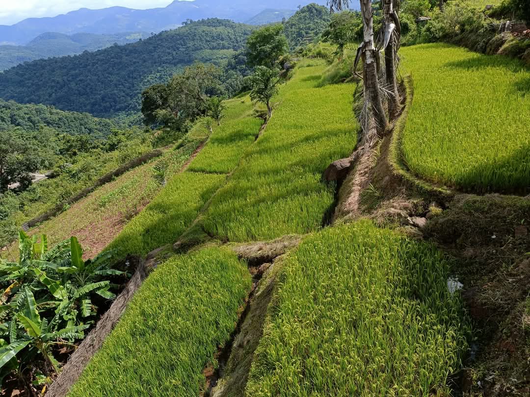 Some random photos..