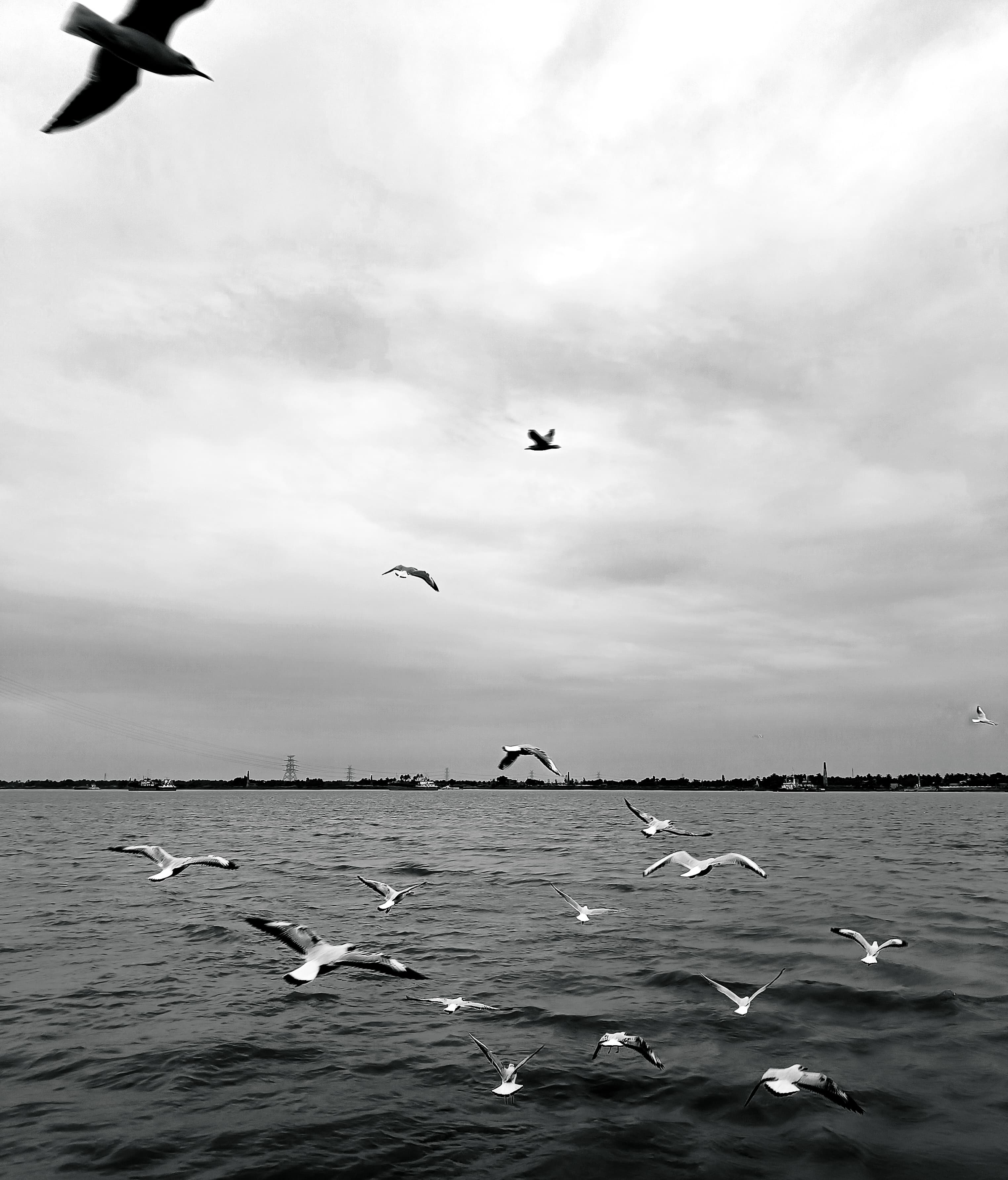 Some random photos..