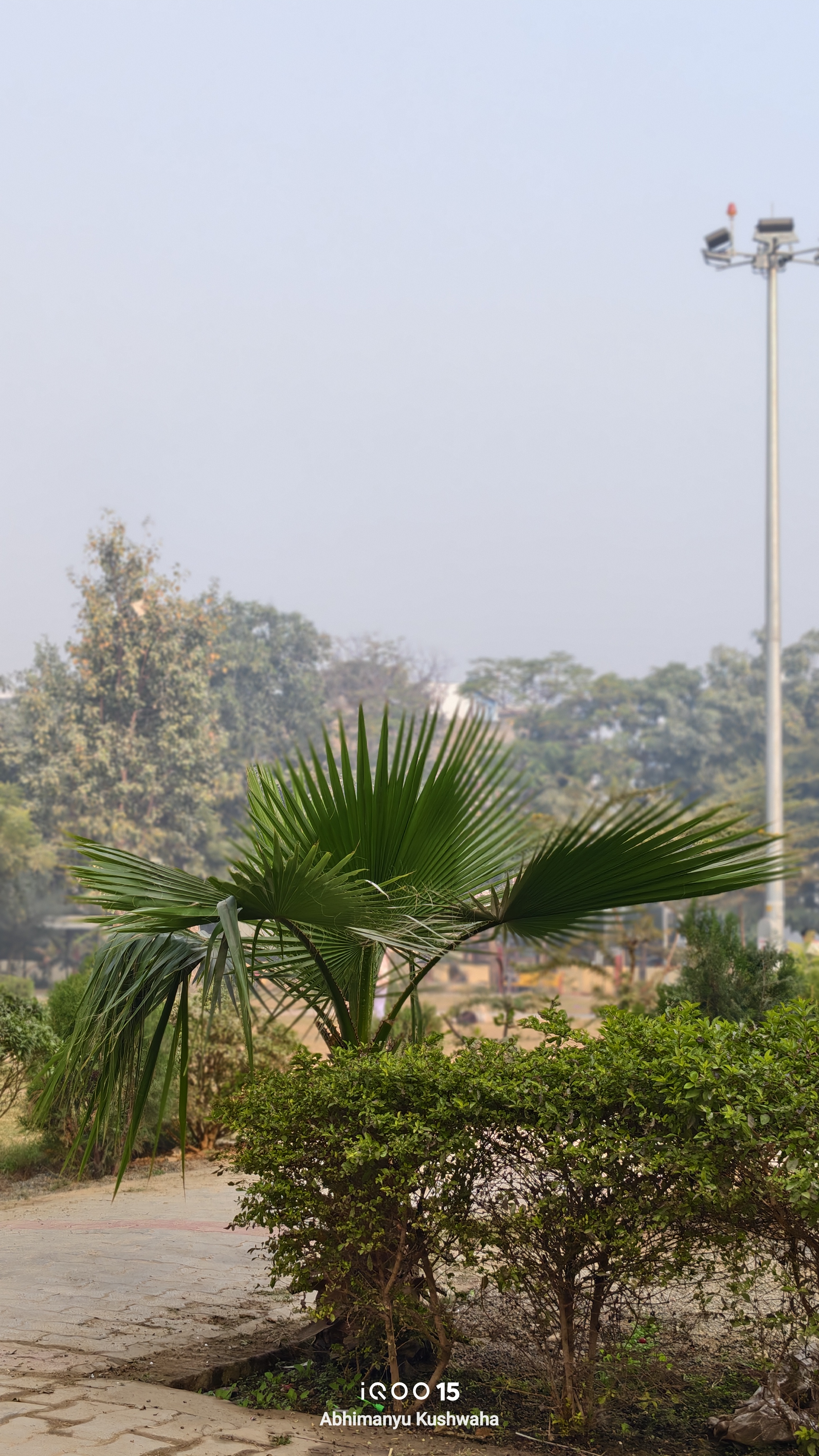 Captured Morning Moments 😉 a crisp, clear morning in a neighborhood ☕