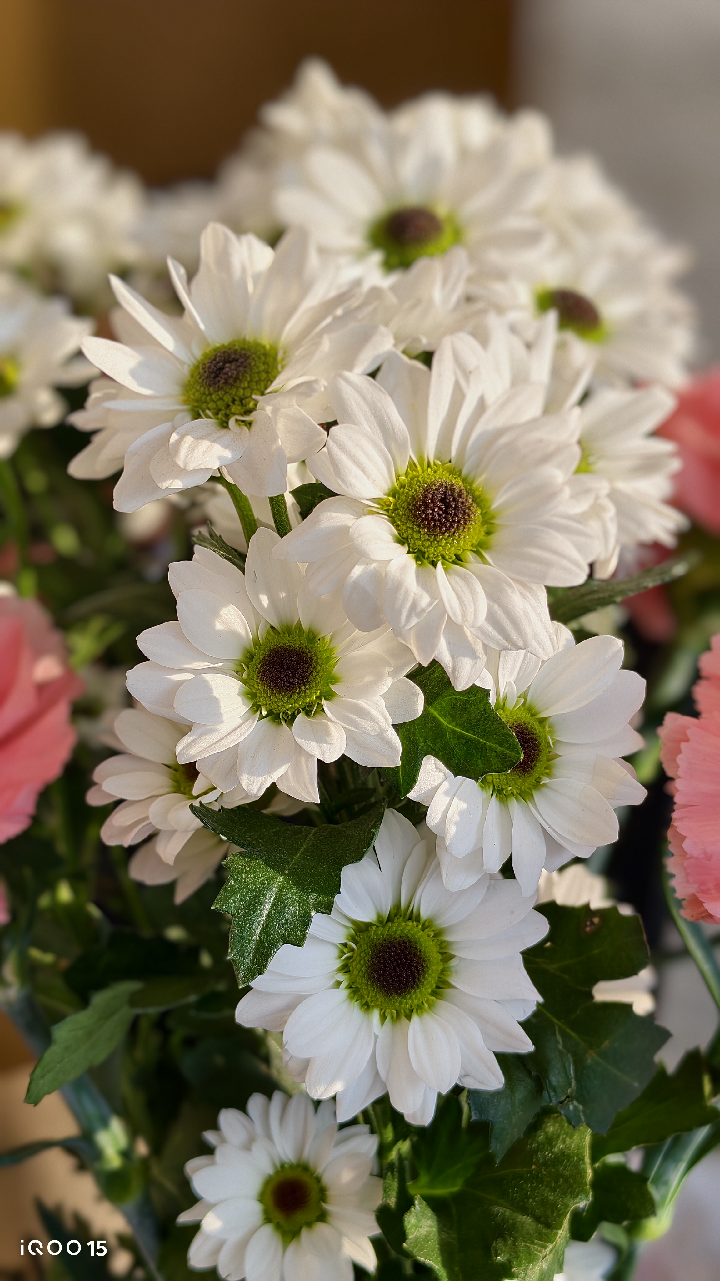 Floral Fantasy X iQOO 15