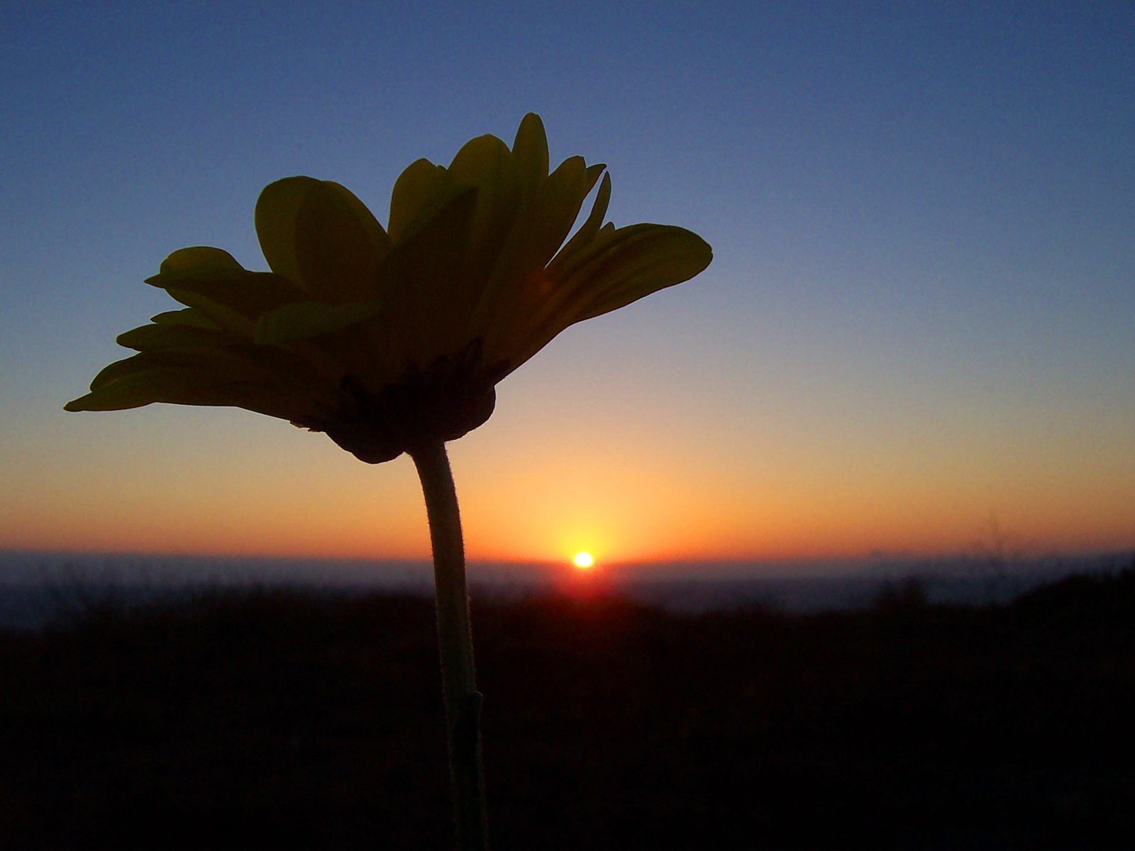 Sunset wallpaper for PC