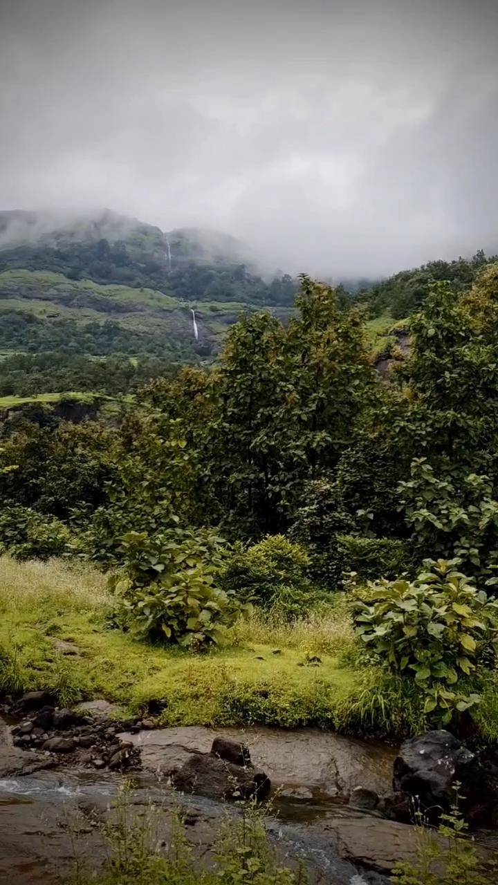 #ShotOniQOO | Monsoon Photography | Rainy Days, Stunning Shots!