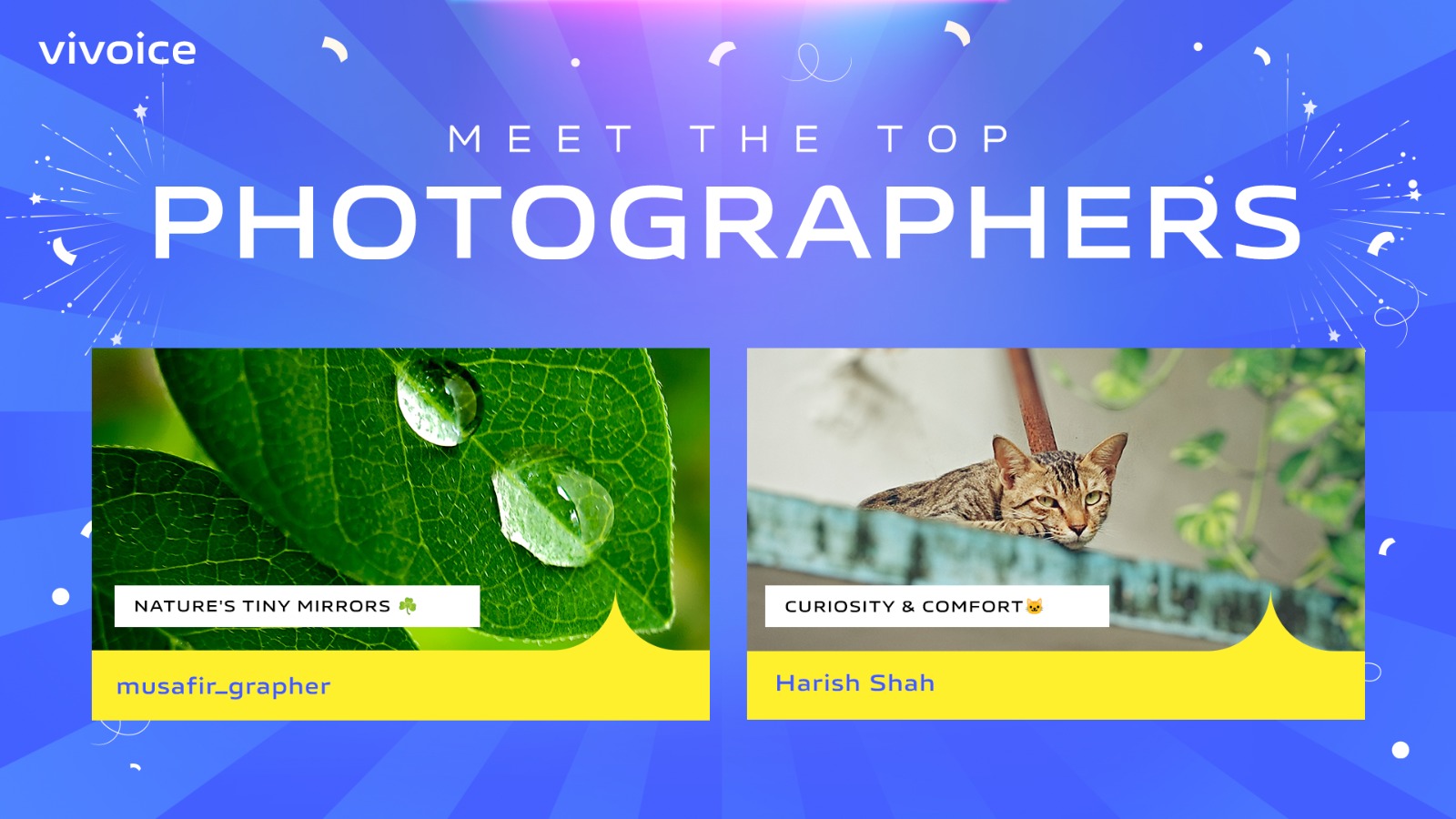 Best photography threads of this month | August 2024