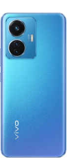 vivo Corporate Program